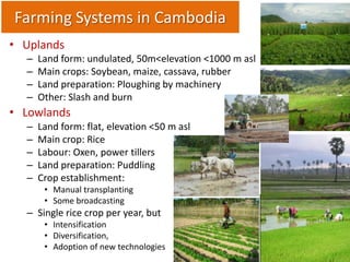 Role for farming systems and CA for food security in Cambodia. Vang | PPTX