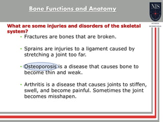 Bone function and anatomy general science | PDF