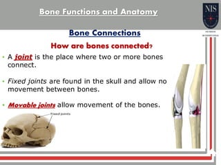 Bone function and anatomy general science | PDF