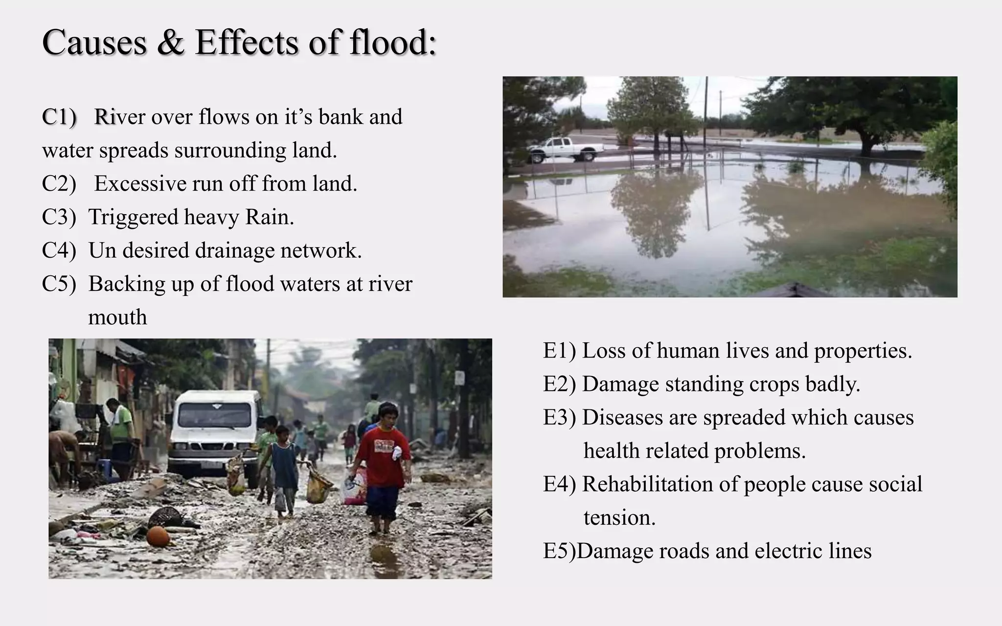 Hydro-Metrological Disasters (Disaster Management) | PPTX
