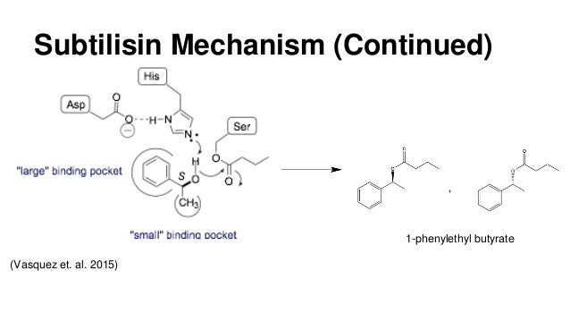 Fu_Subtilisin Presentation (2)