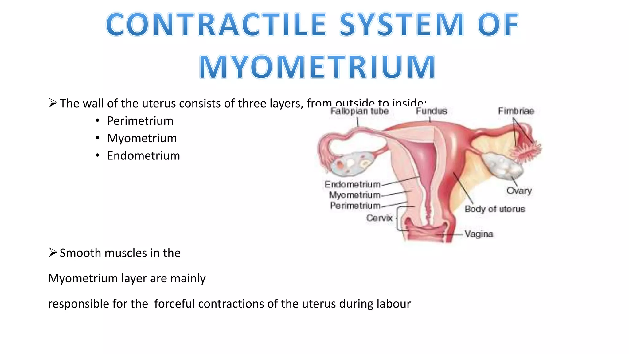 1536.pptx