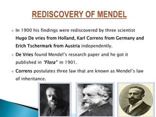 Life Sketch of Gregor Johaan Mendel | PPT