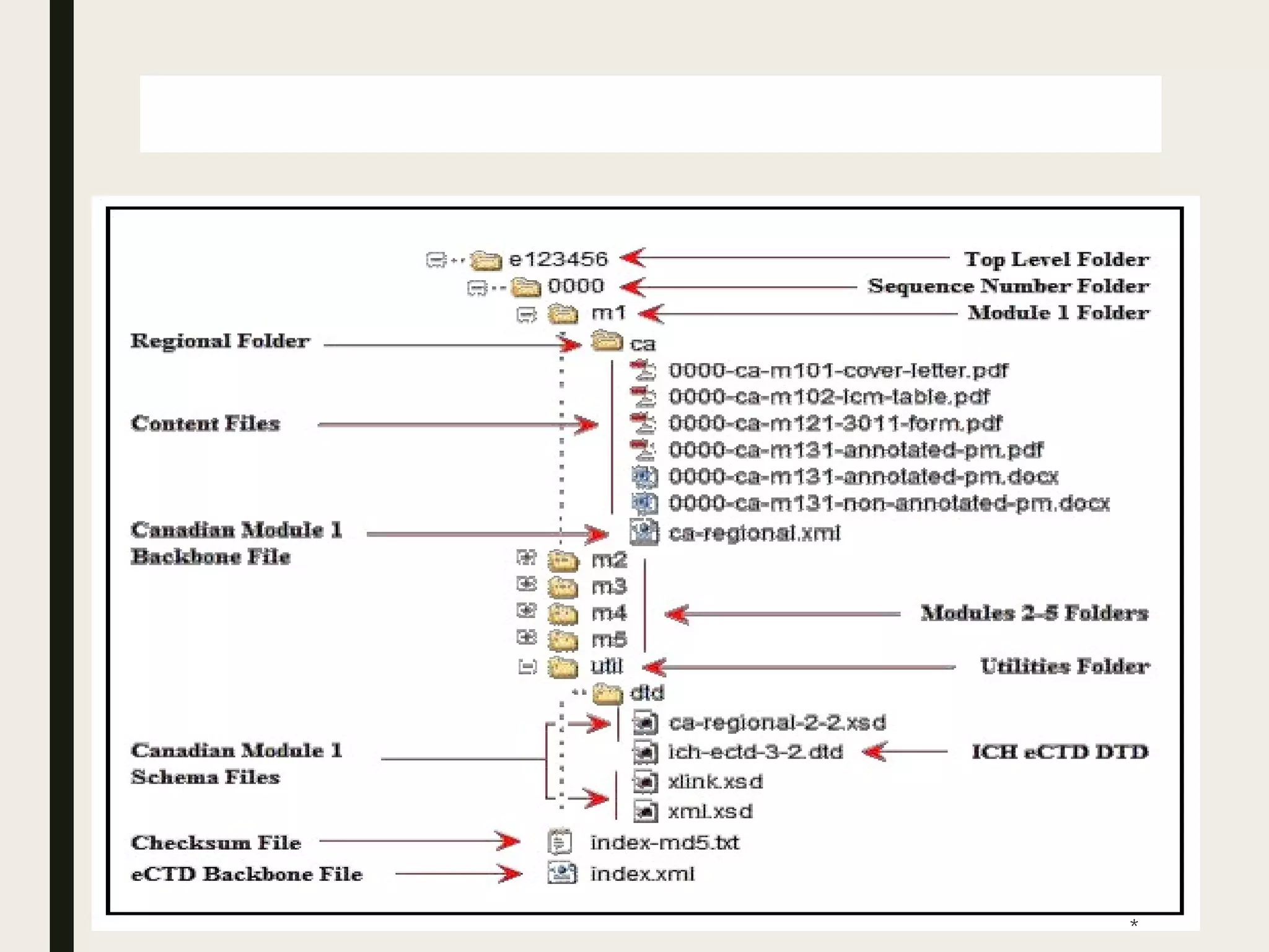CTD and ECTD Document | PPT