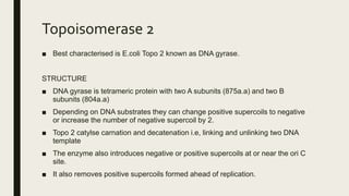 Topoisomerase | PPTX