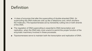 Dna Replication Topoisomerase Function