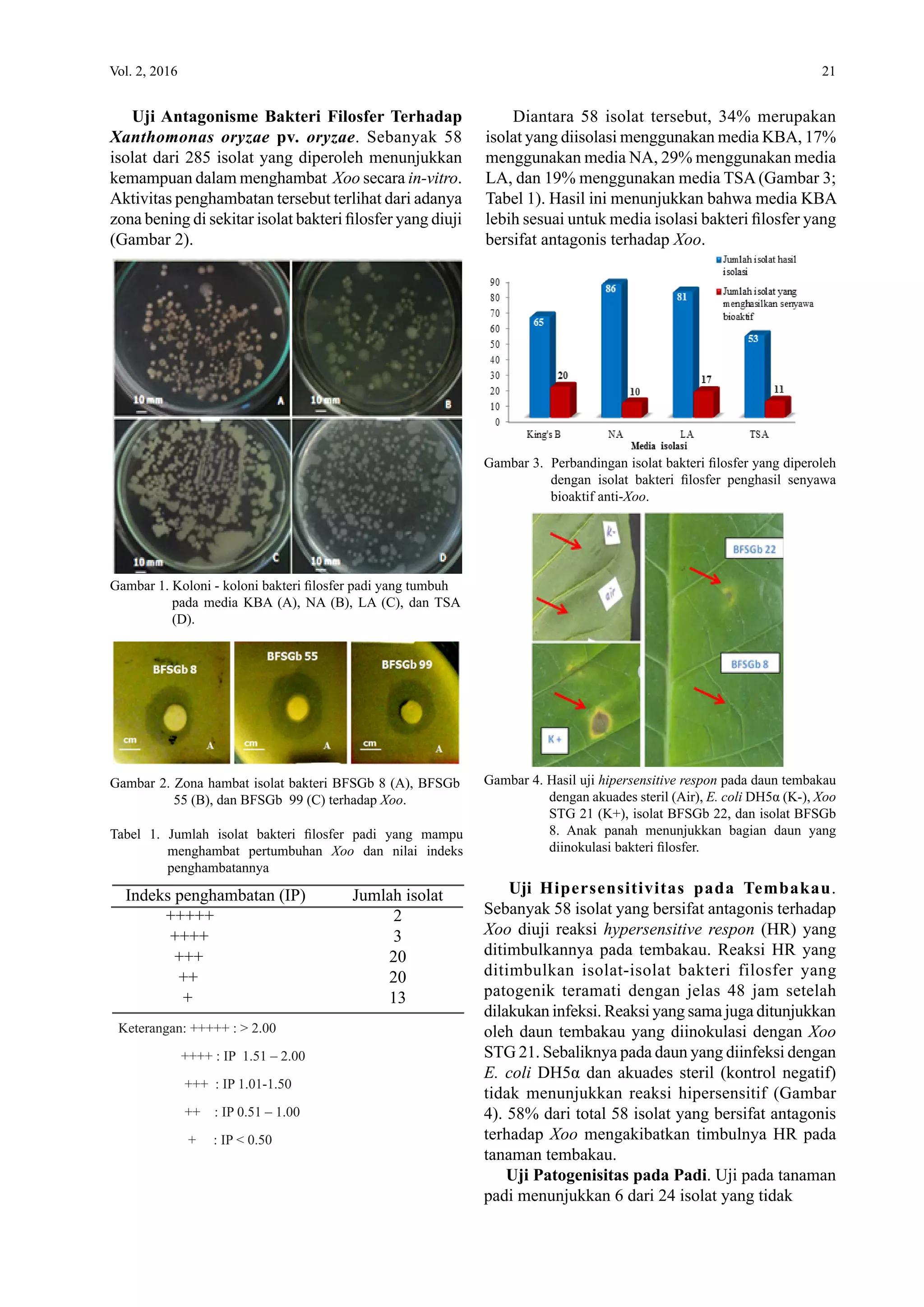 bakteri filosfer | PDF