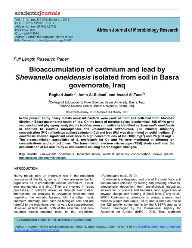 Bioaccumulation of Shewanella oneidensis | PDF | Chemistry | Science