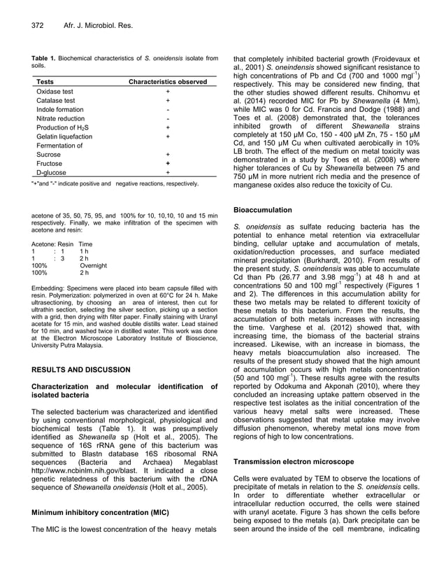 Bioaccumulation of Shewanella oneidensis | PDF | Chemistry | Science