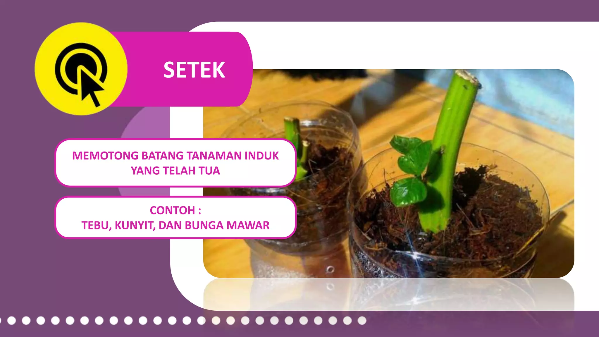 Perkembangbiakan tumbuhan secara vegetatif buatan | PPSX