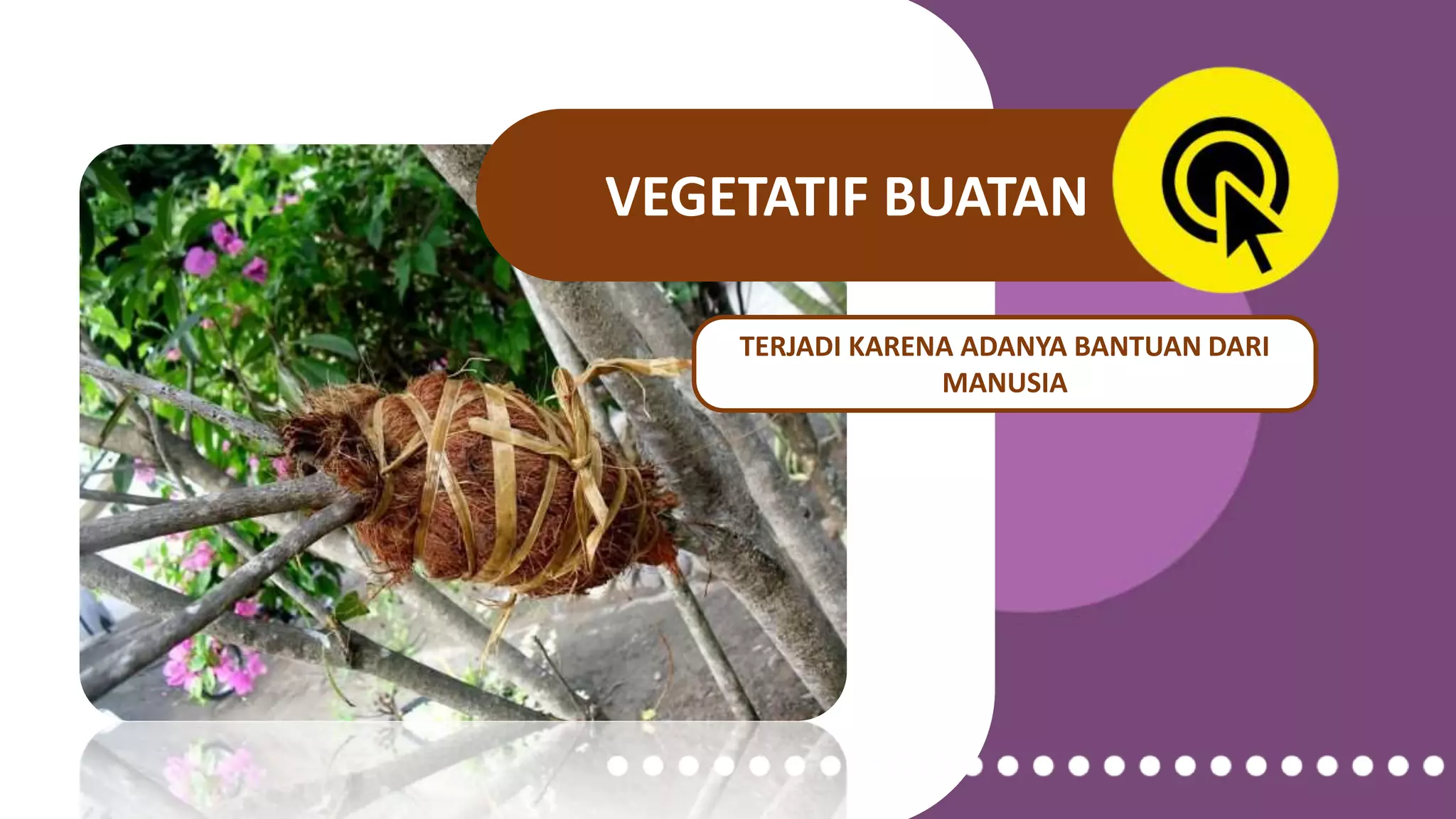 Perkembangbiakan tumbuhan secara vegetatif buatan | PPSX