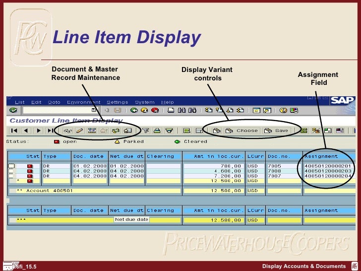 SAP FI Display Accounts And Documents | http://sapdocs.info