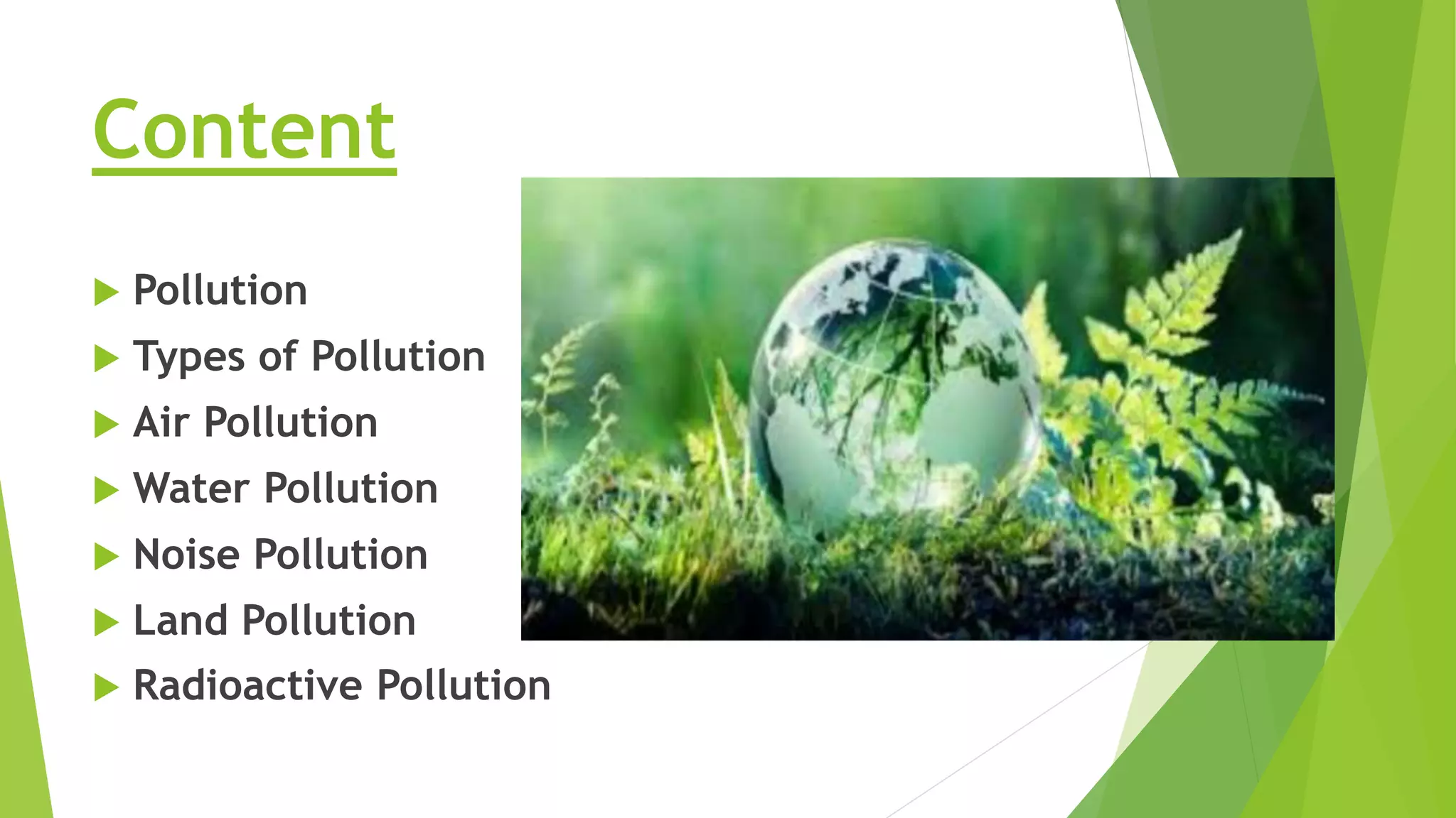 Environmental Pollution | PPTX