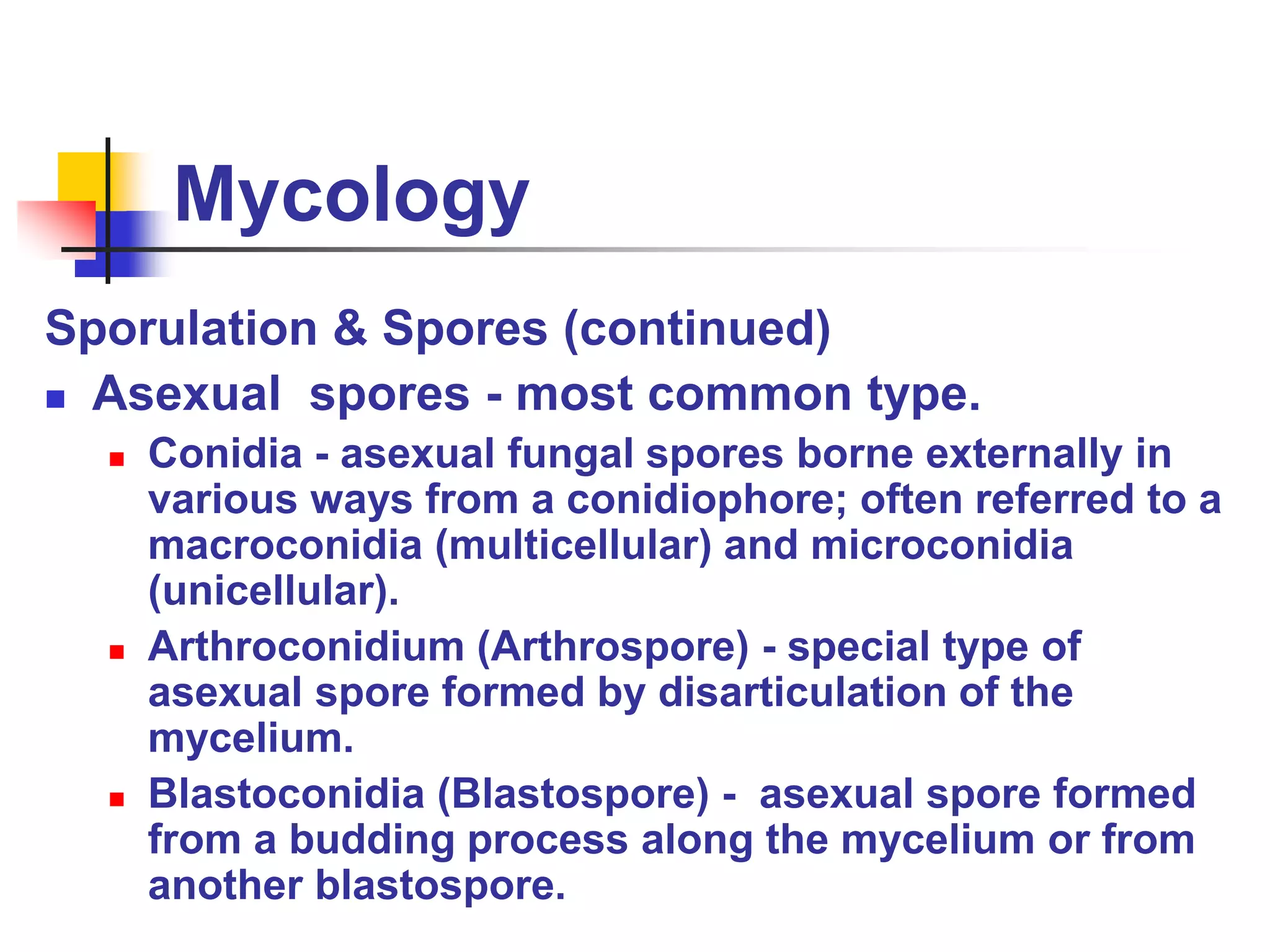 1540957937 - MycologySummer2012.ppt