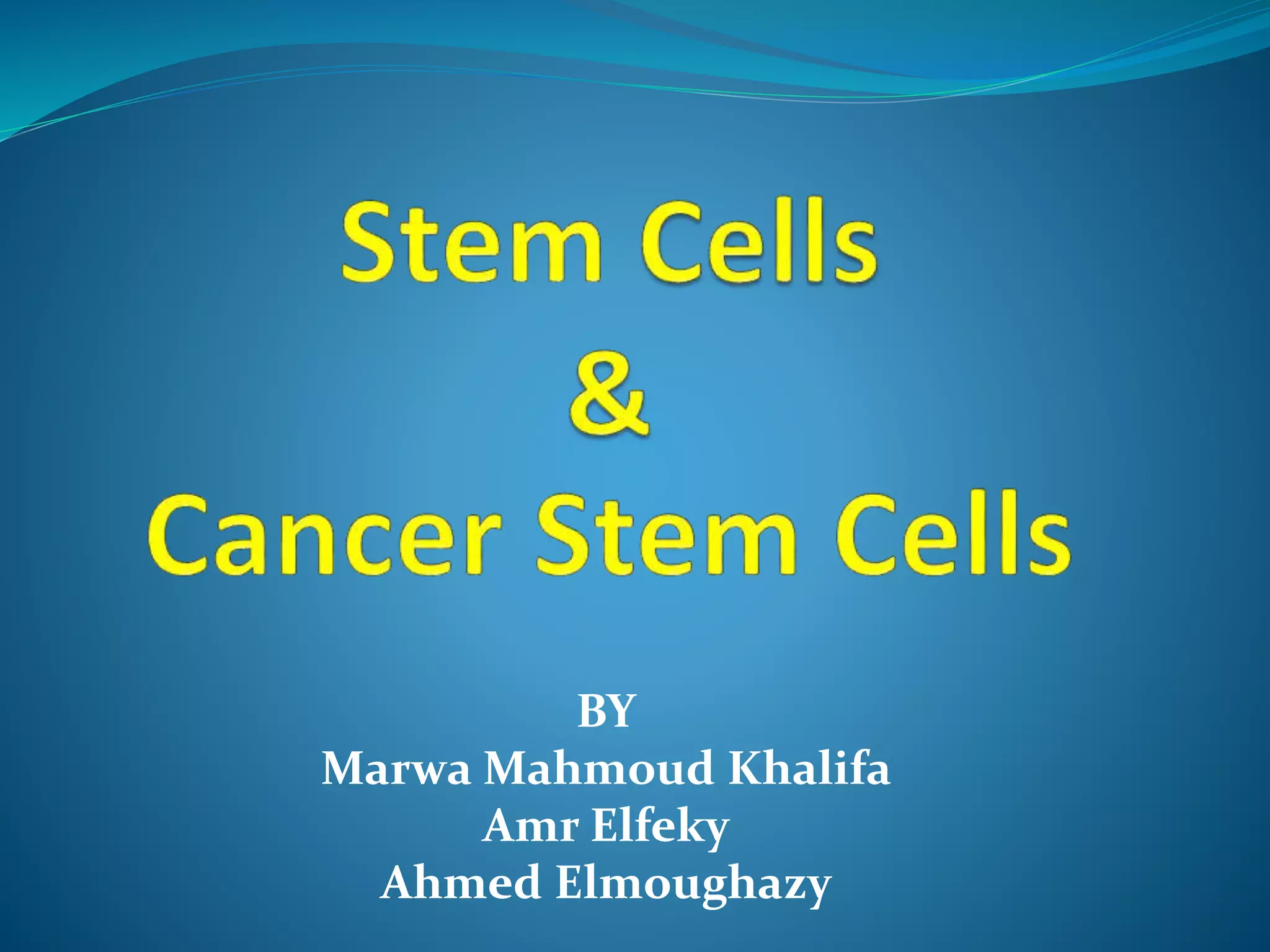 stem cells and cancer stem cells | PPTX