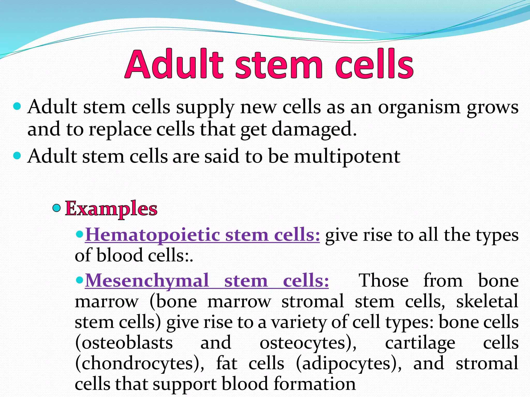 stem cells and cancer stem cells | PPTX