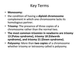 1542poHvMaYwerJm_d_UJ0eKuGqVscBzR-1.pptx