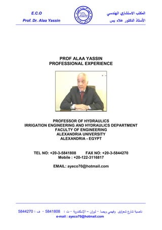 PROF ALAA YASSIN PROFESSIONAL EXPERIENCE | PDF | Civil Engineering Industry | Industries