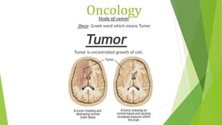 biology of cancer | PPTX