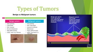 biology of cancer | PPTX | Cancer | Diseases and Conditions