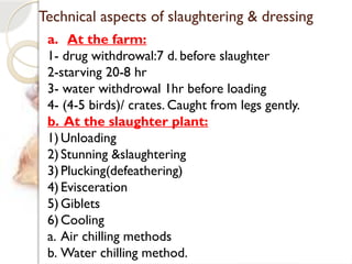 poultry meat for human consumption and slaughter house | PPTX