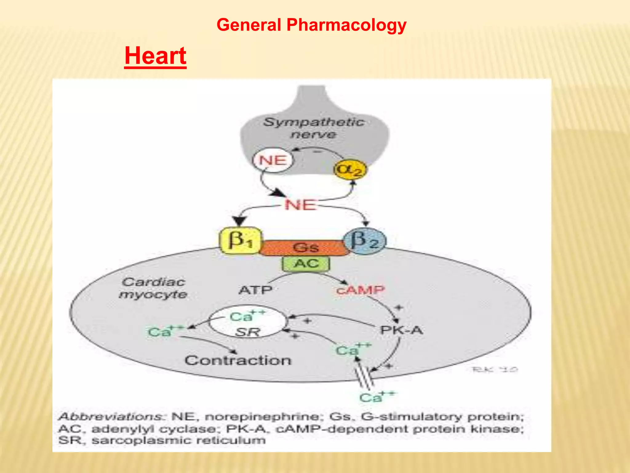 Myocardial Infarction treatment drugs | PPTX
