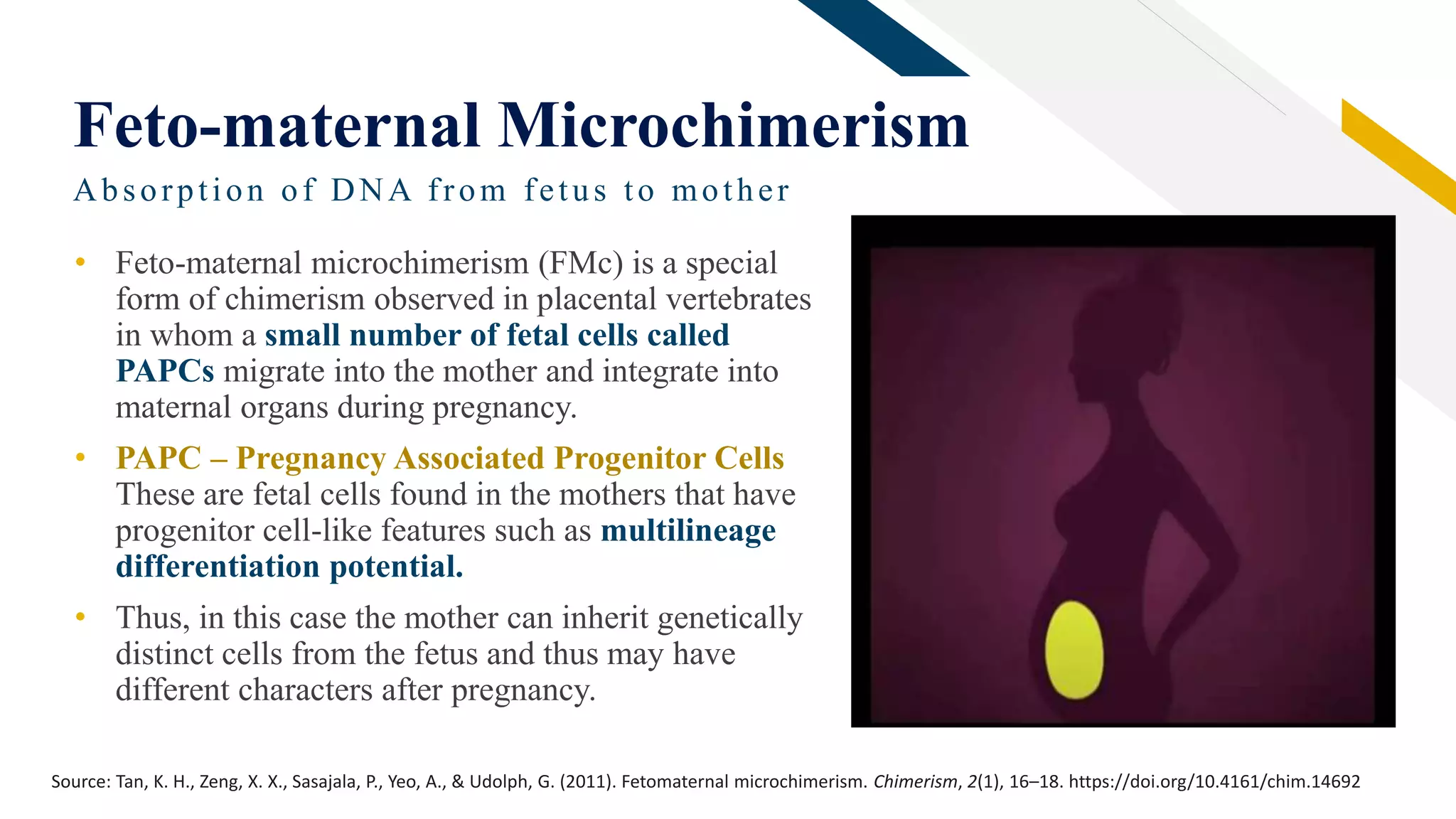 Genetic Chimerism | PPTX