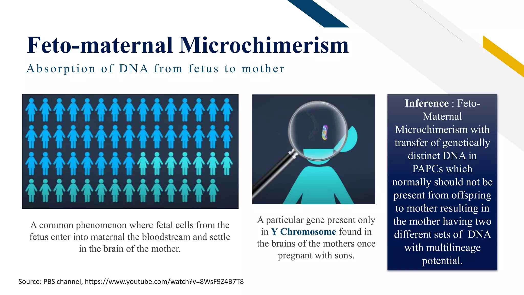 Genetic Chimerism | PPTX