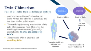 Genetic Chimerism | PPTX