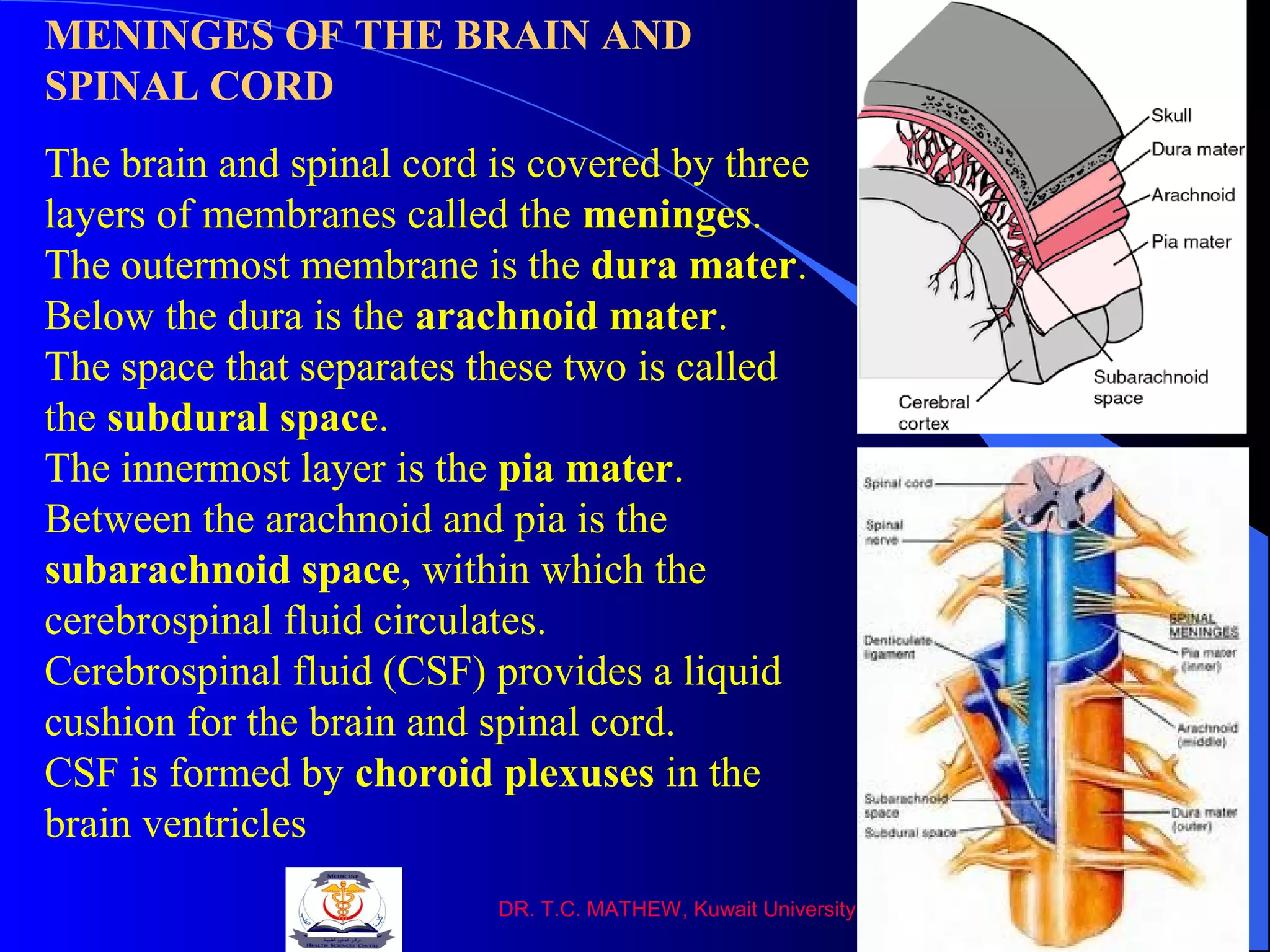 155 PNS -revised on 26-11-2013 | PPT
