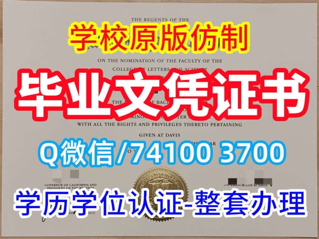 LSU Transcript | PPT