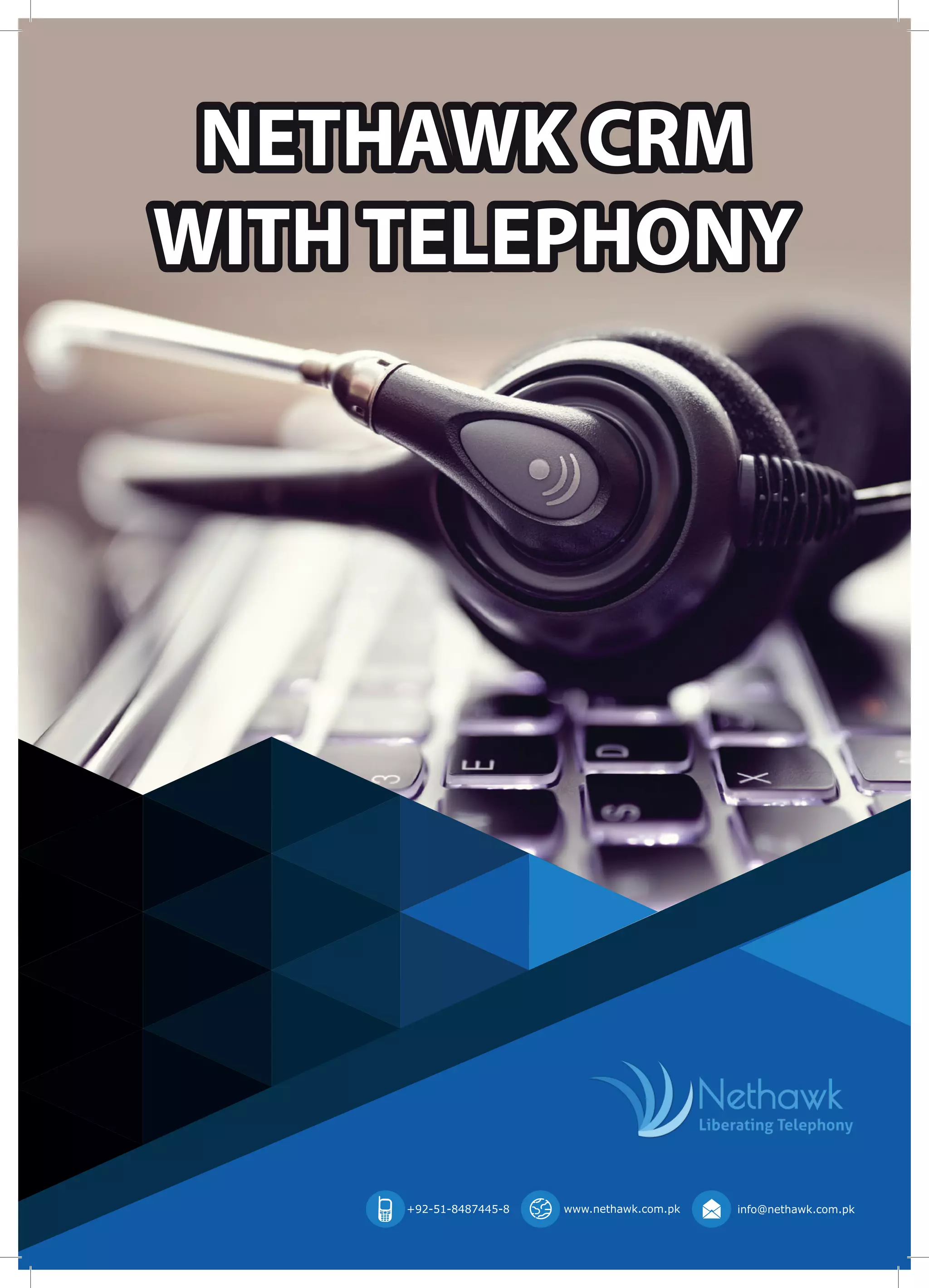 Nethawk CRM Telephony Solutions Brochure | PDF