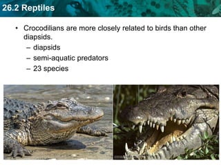 Reptiles | PPT | Reptiles | Pets