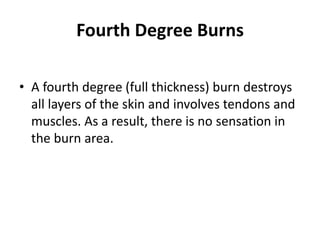 Skin Problems & Treatments Health Center | PPT