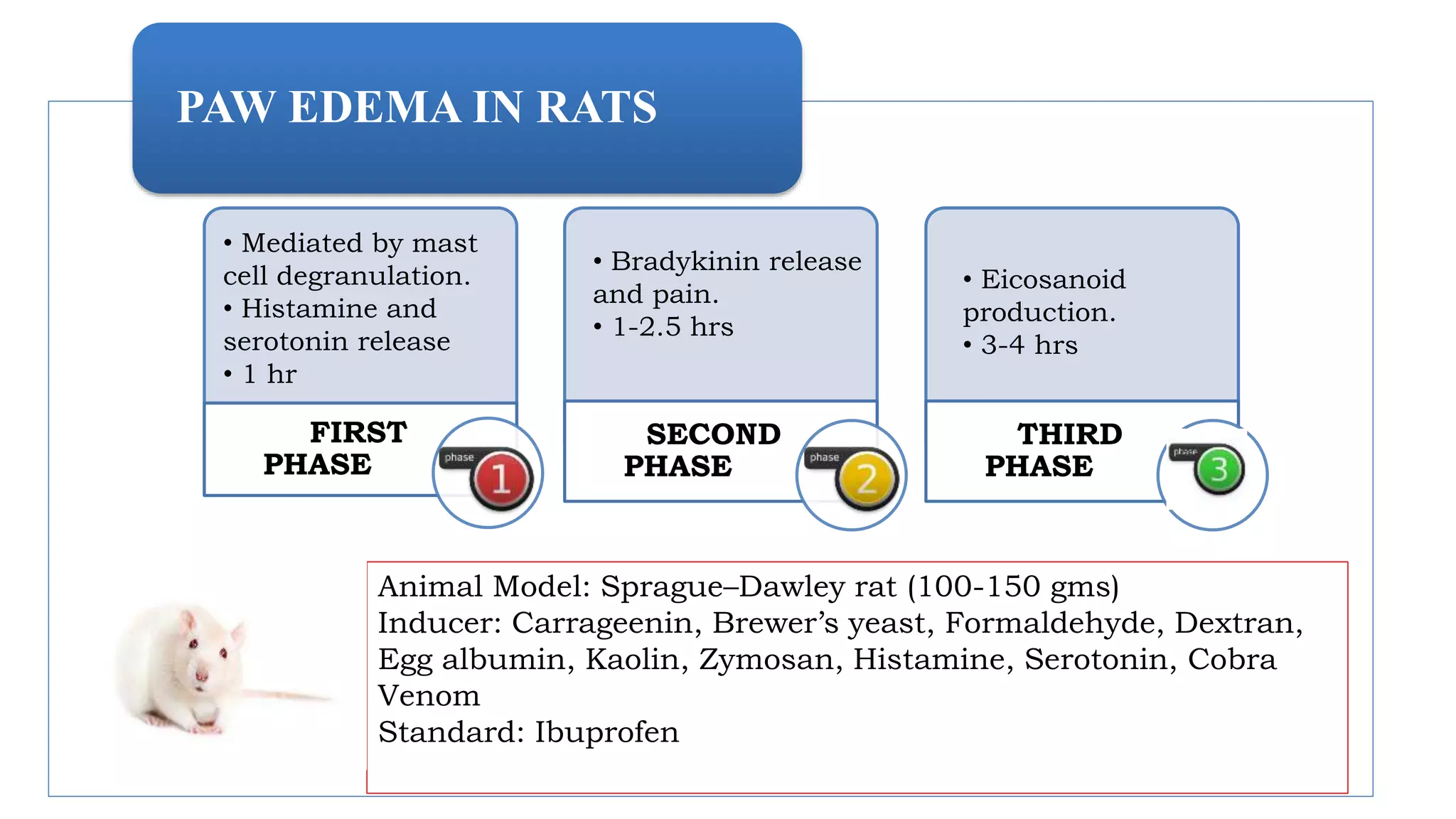 IN VIVO MODELS FOR EVALUATION OF ANTI INFLAMMATORY DRUGS | PPTX