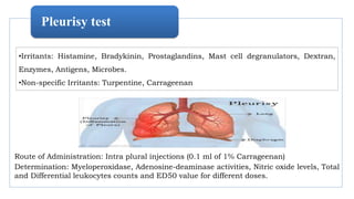 IN VIVO MODELS FOR EVALUATION OF ANTI INFLAMMATORY DRUGS | PPTX