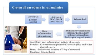 IN VIVO MODELS FOR EVALUATION OF ANTI INFLAMMATORY DRUGS | PPTX