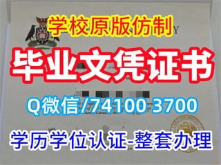 Polimi Transcript | PDF