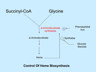 15604Heme metabolism.ppt