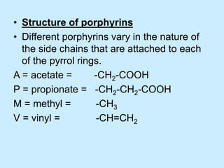 15604Heme metabolism.ppt | Free Download