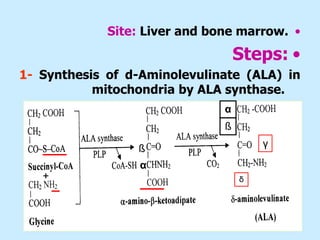 15604Heme metabolism.ppt | Free Download