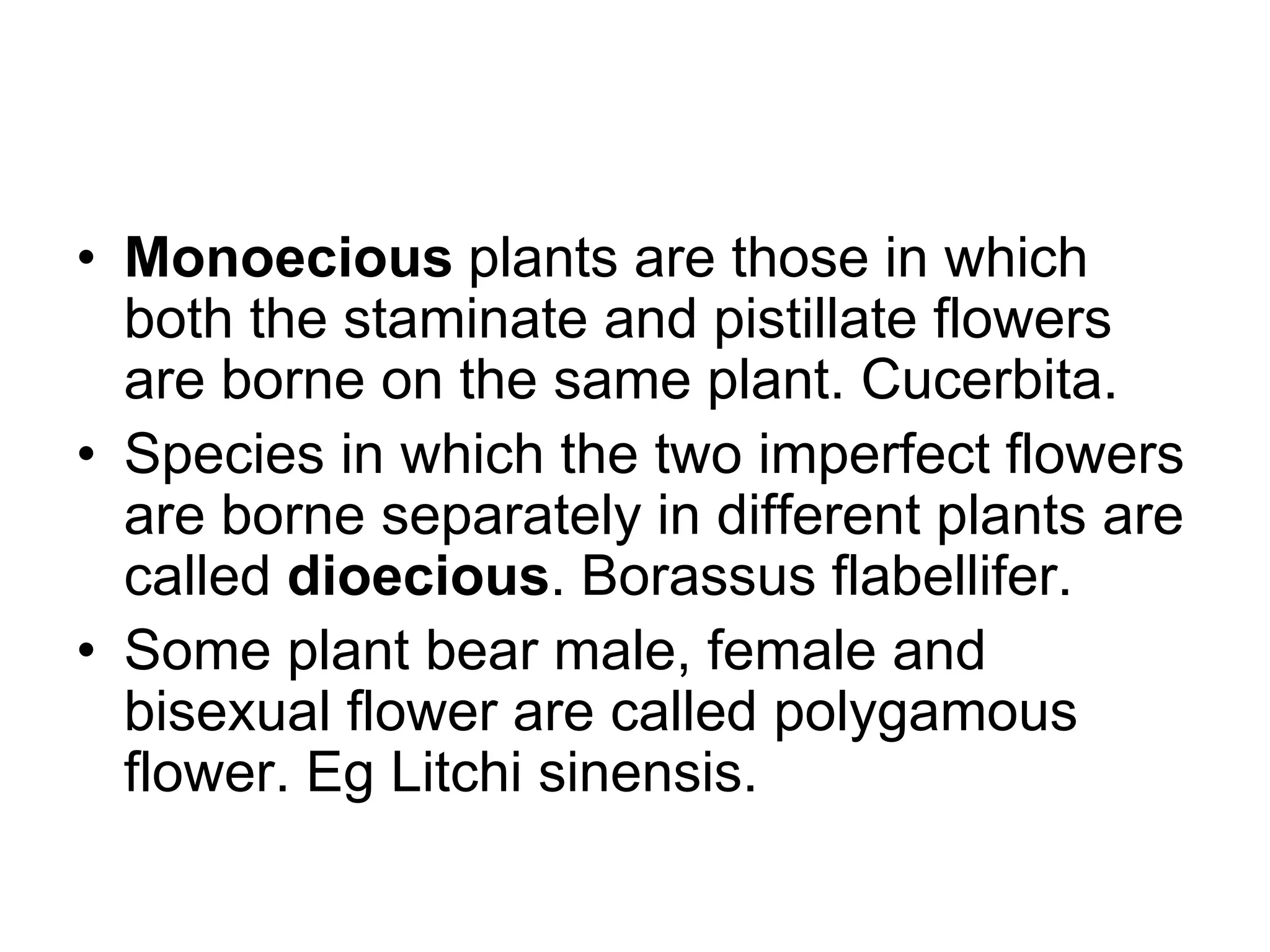 1561550108FLOWER.ppt