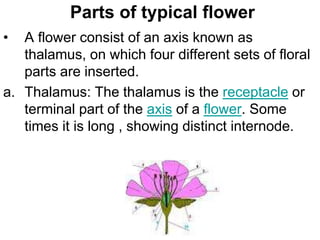 Biology-Lecture on FLOWER by chanchal.ppt