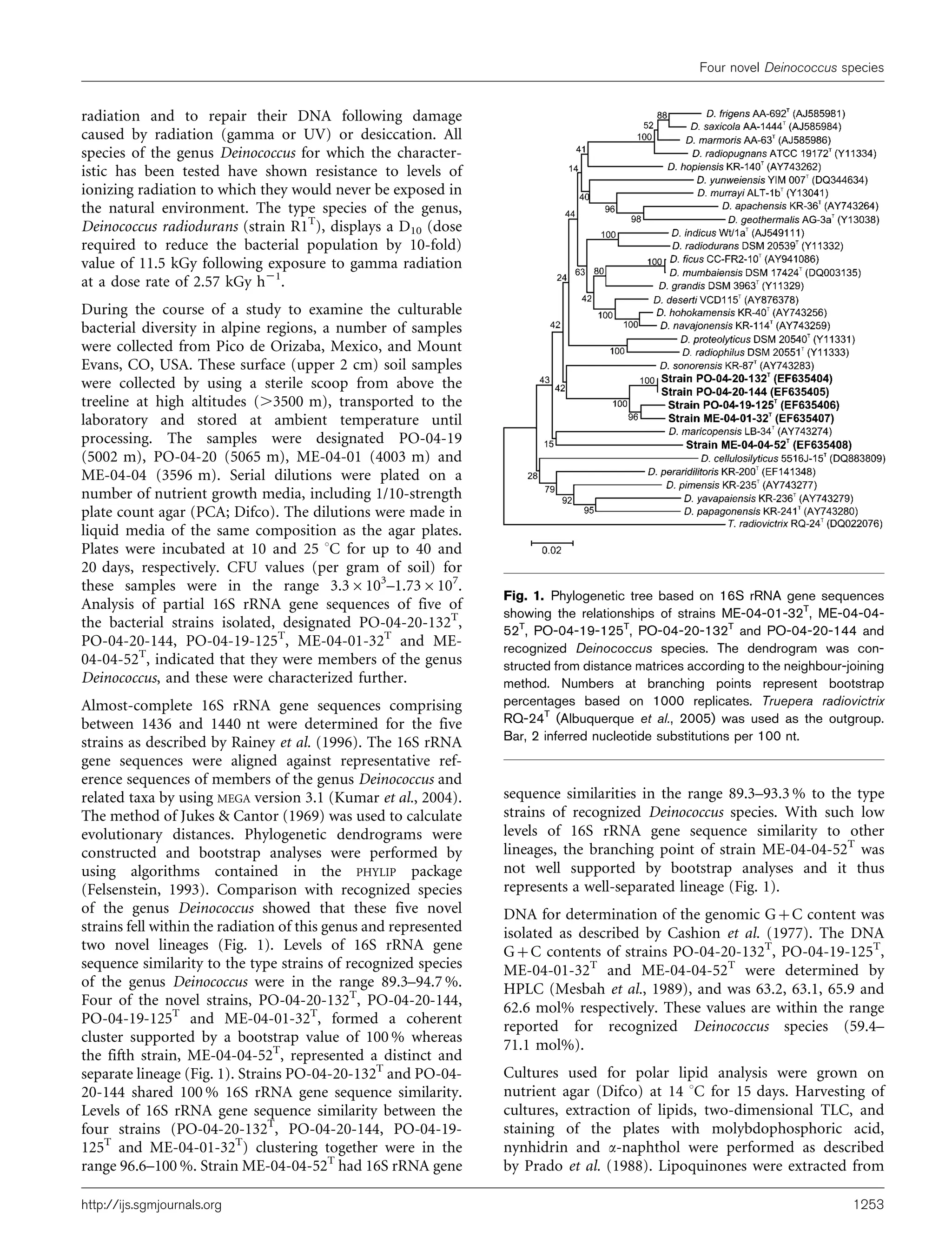 Deinococcus.full | Biological Sciences | Science
