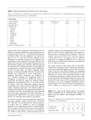 Deinococcus.full