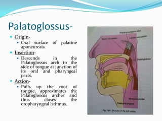 tongue | PPTX