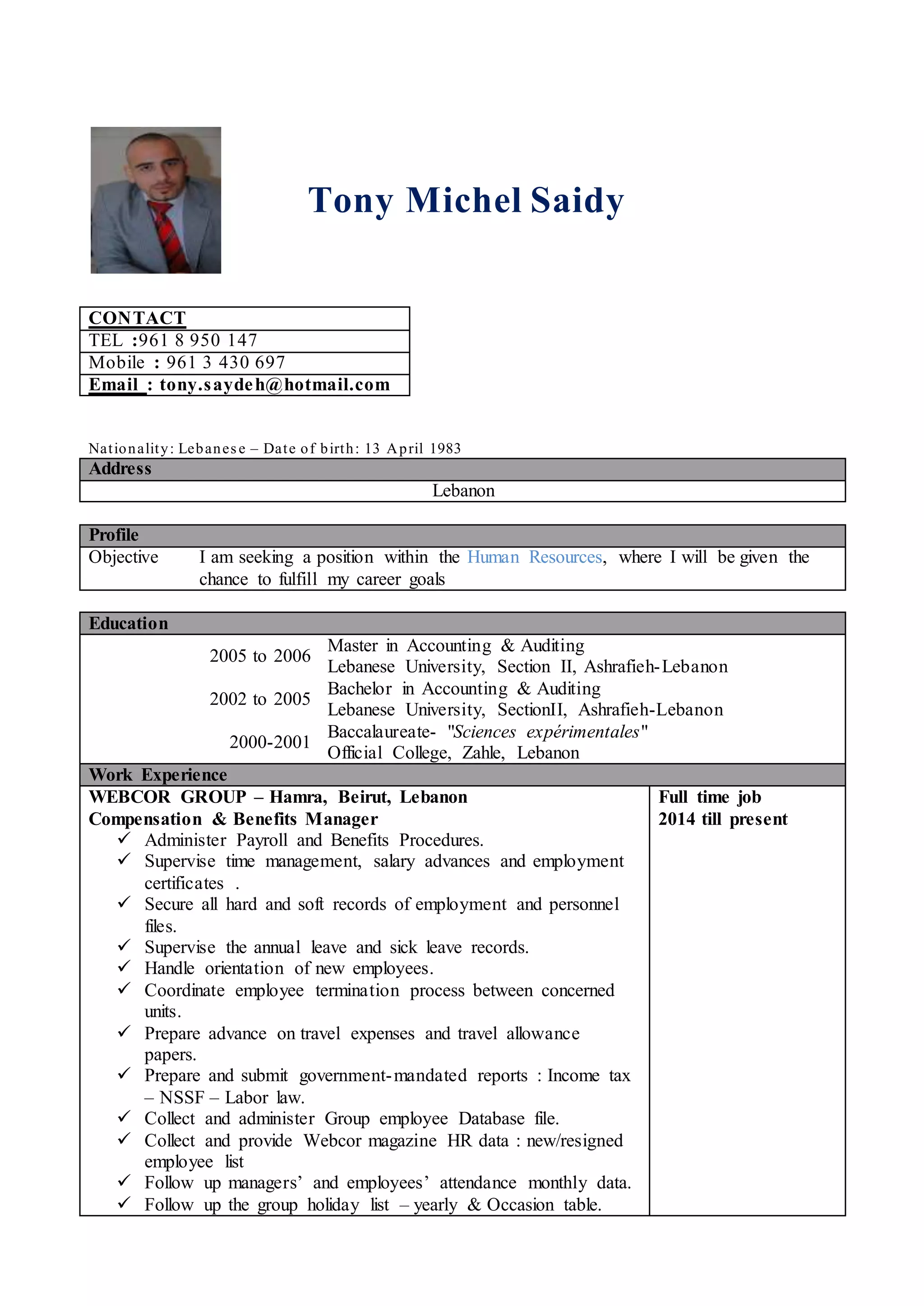 CV Tony Michel Sayde (1) | DOCX