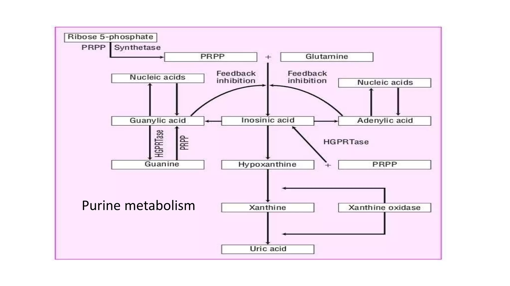Pathophysiology and clinical management of gouty arthritis | PPTX