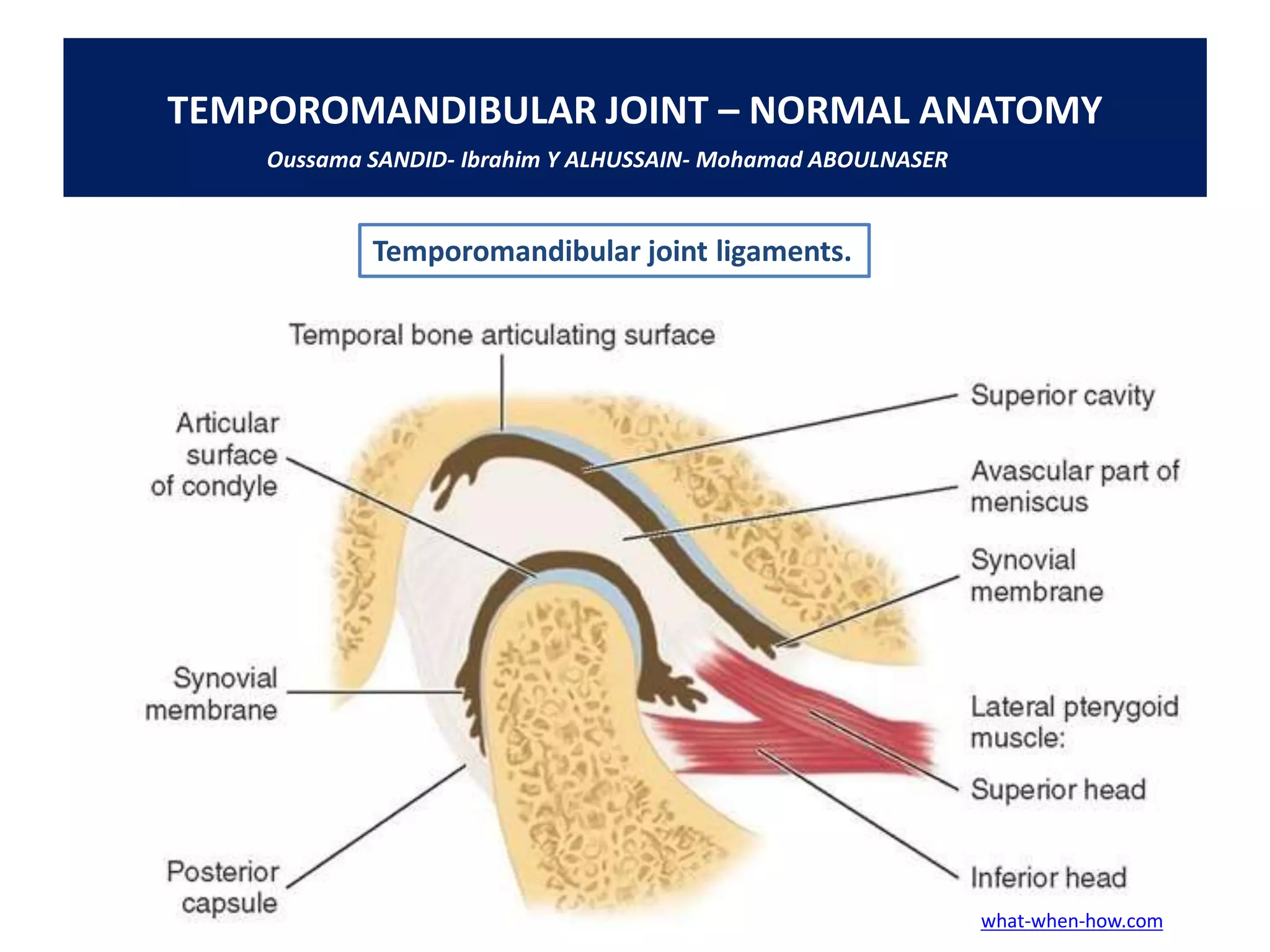 157 temporomandibular joint-tmj- anatomy | PDF | Death, Injury, or ...