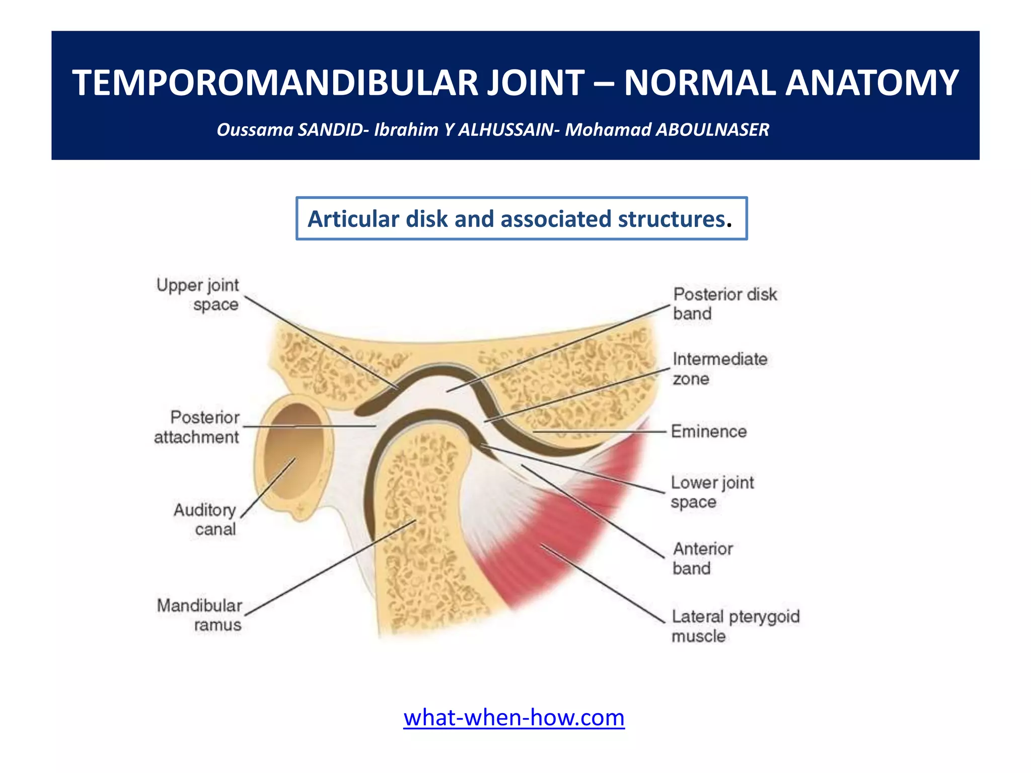 157 temporomandibular joint-tmj- anatomy | PDF